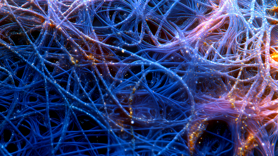 wob – The Experience Architects | Inspirierend, innovativ, effektiv